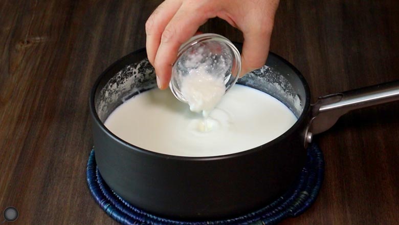 Homemade Yogurt Recipe | How to make Dahi