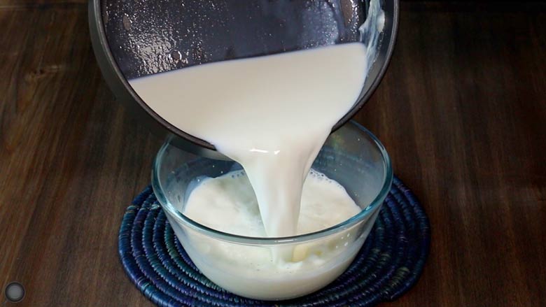 Homemade Yogurt Recipe | How to make Dahi